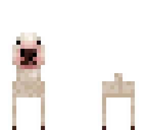 Perro Del Meme Minecraft Skins
