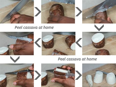 How To Peel Cassava Root Quickly And Conveniently？faq