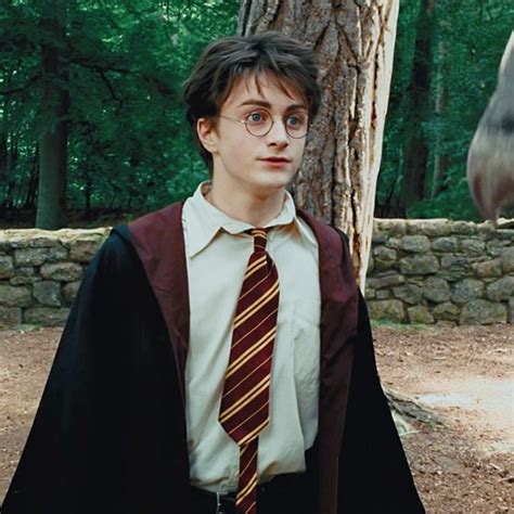 《哈利波特》 哈利波特