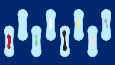 Flujo vaginal hechos reveladores que no conocías sobre la excitación femenina