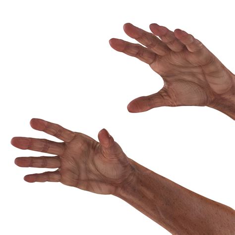 Old Man Hands Rigged D Ma