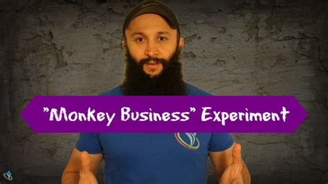 Monkey Business Experiment — Boruch Akbosh Acquisitions Advisor