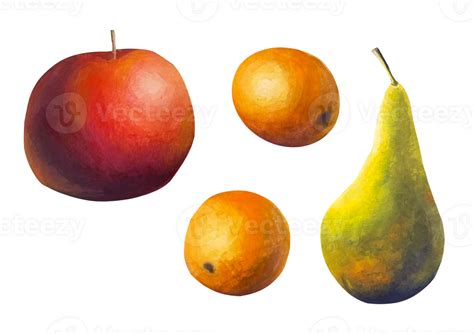 Mano Dibujado Realista Rojo Manzana Peras Naranjas Mandarinas En