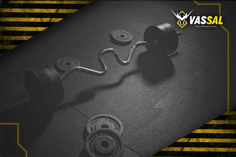 Ciclo De Esteroides Y El Tiempo De Descanso Vassal