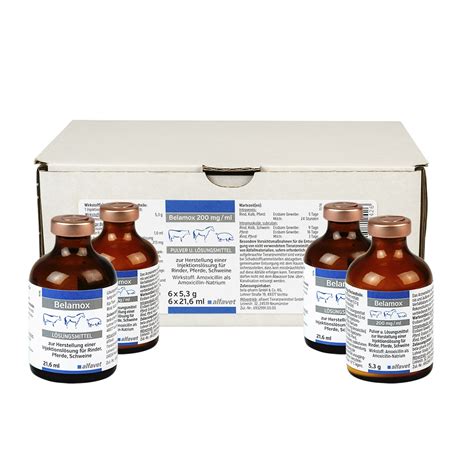 Belamox 200 mg/ml Pulver + Lsg.-mittel - DK Pharma GmbH