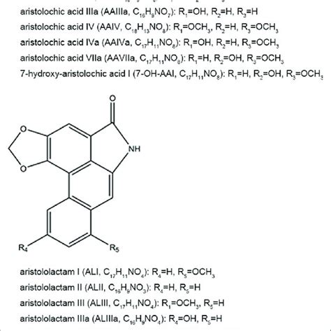Chemical Structures Of Some Typical Aa Analogs Download Scientific