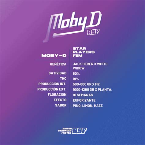 Moby D Fem Banco De Semillas Bsf Seeds