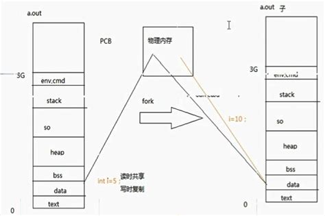 Linux C编程之十 进程及进程控制 pointerC 博客园