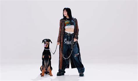Blackpink Lisas Dog Made A Special Appearance In Shut Down Music