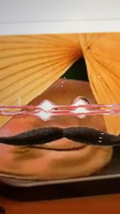 Bro What The Funny Is This Bro Funny