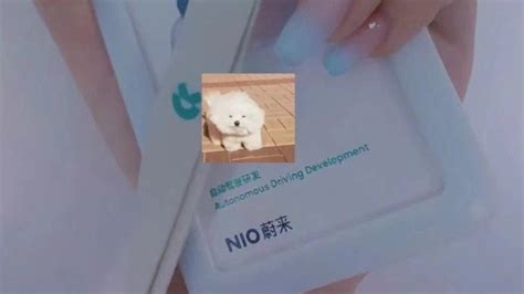 蔚来女员工称遭强奸未遂反被辞退 官方回应凤凰网