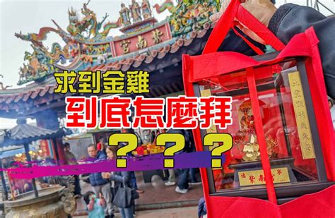 紫南宮》求到金雞怎麼擺財位？要放茶水、生米｜瘋神說crazy