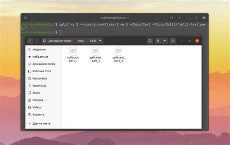Linux Losst