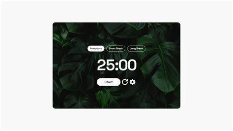 The 15 Best Notion Widgets Notionland Blog