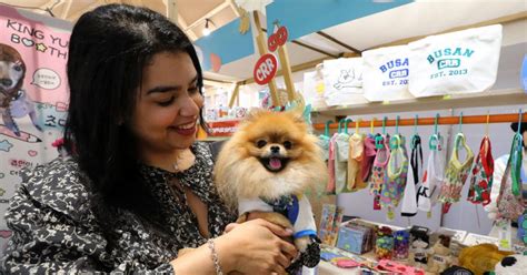 펫과함께 간식·의류 총망라 현대百 성수동서 더현대 펫페어