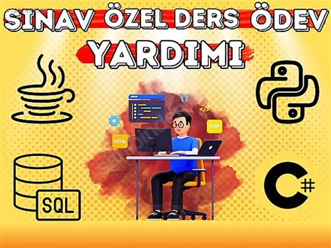kurs eğitmeninden java python c sql oop Özel ders Ödev
