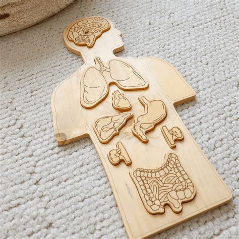 Wooden Anatomy Human Body Puzzle By Qtoys