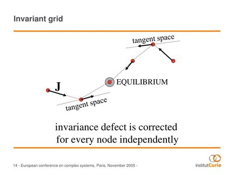 Ppt Invariant Grids For Model Reduction In Reaction Networks
