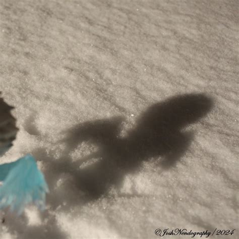 Bankai Daiguren Hyôrinmaru Rnendoroid