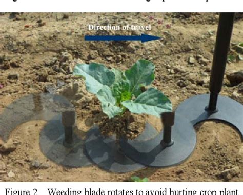 figure 1 from crop positioning for robotic intra row weeding based on