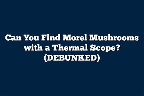 Can You Find Morel Mushrooms With A Thermal Scope Debunked