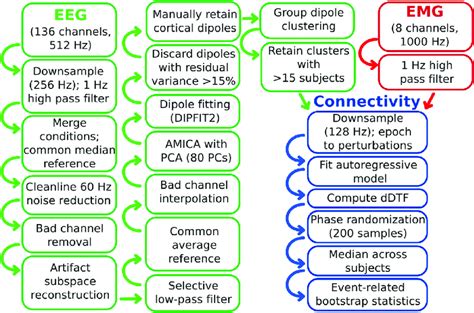 schematic of processing pipeline the eeg green and emg red