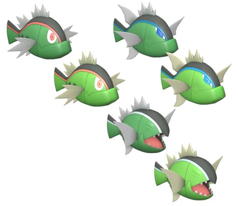 Basculin