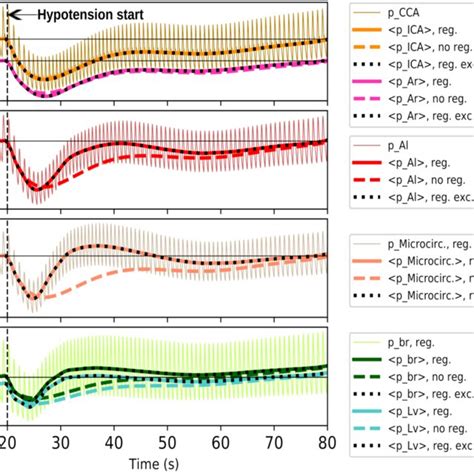 Shows The Normalized Flow Resistances For Each Regulated Compartment