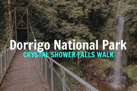 10 Things To Know About Crystal Shower Falls Walk In Dorrigo National