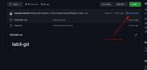 Lab 3 Using Git And Ros Services Robotics101