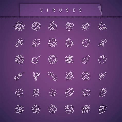 380 Syphilis Stock Illustrations Royalty Free Vector Graphics And Clip
