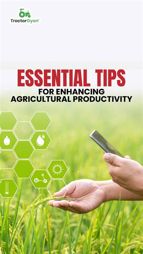 Essential Tips For Enhancing Agricultural Productivity
