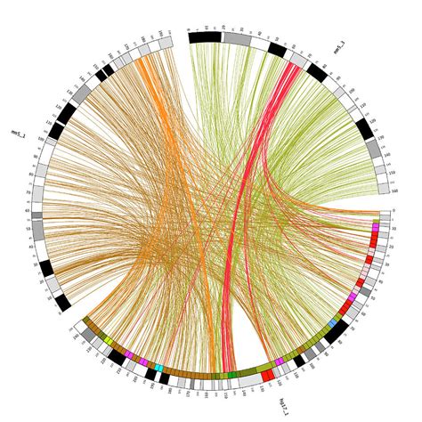 Circular Genome Map Photograph By Martin Krzywinski Science Photo Library