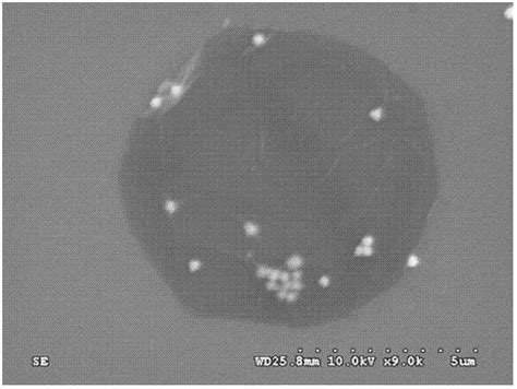 Artificial Hollow Micro Nano Motor And Preparation Method Thereof Eureka Patsnap