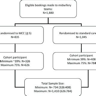 PDF Effectiveness Of A Midwife Led Continuity Of Care Model On Birth Outcomes And Maternal