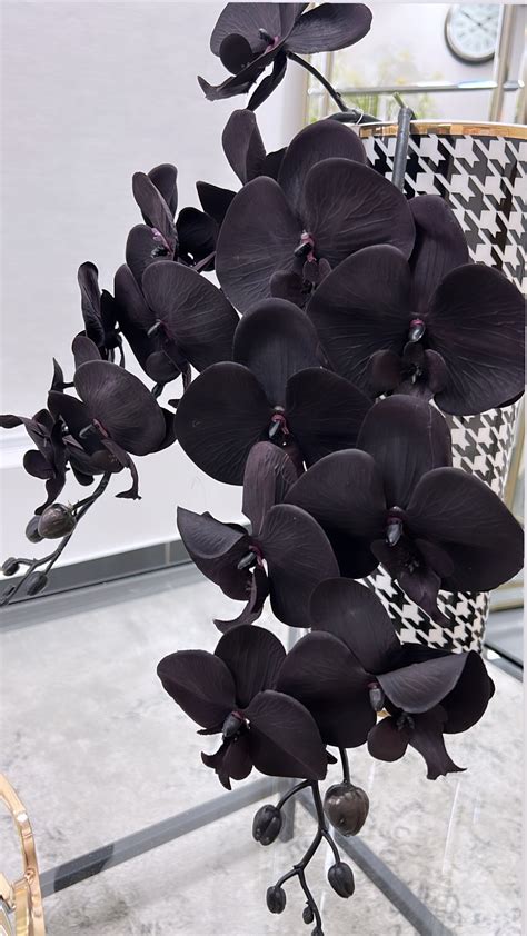 Black Small Orchid Flower Luscious Homewares