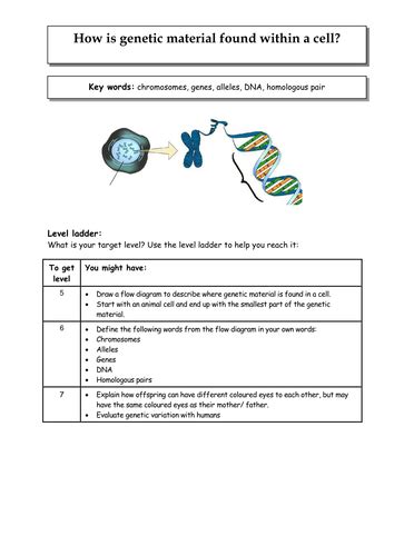 New Aqa Gcse Trilogybiology Chromosomes Teaching Resources