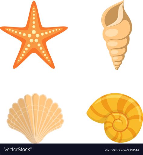 Sea Shells Royalty Free Vector Image Vectorstock