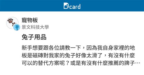 兔子用品 寵物板 Dcard