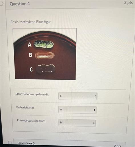 [solved] Eosin Methylene Blue Agar Staphylococcus Epidermi