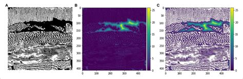 Example Of Euclidean Distance Transform On An X Ray Ct Image Of Osb