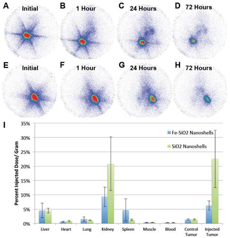Biodistribution Of 500 Nm Fe Sio 2 And Sio 2 Nanoshells Post
