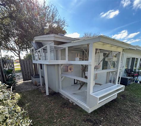 The Tunnel Trek Catio Cat Topia