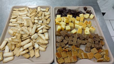 Estudantes Dos Cursos De Agronomia Alimentos E Viticultura E Enologia