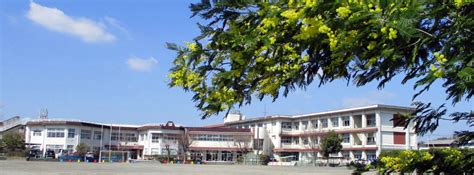 島田第一小学校