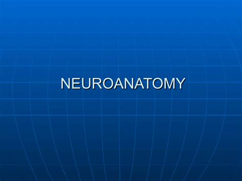 Localization In Clinical Neurology PPT