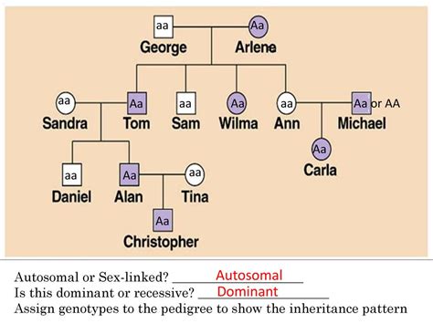 Pedigrees Ppt Download