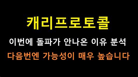 캐리프로토콜 코인 이번 반응에서 얻은 힌트와 가능성 Youtube