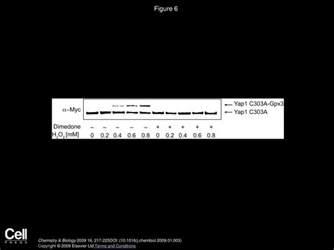 Chemical Dissection Of An Essential Redox Switch In Yeast Ppt Download