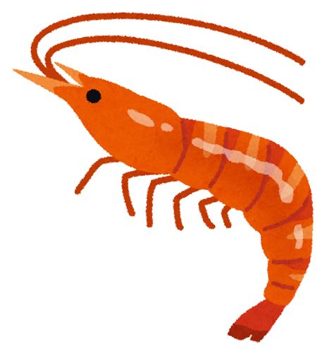 えび Ebi Disambiguation Japaneseclassjp